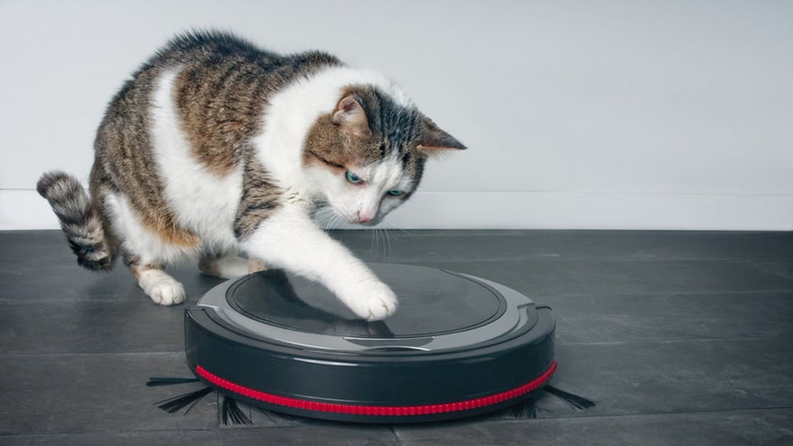 Ein Tag in einem Smart Home | Flatfox