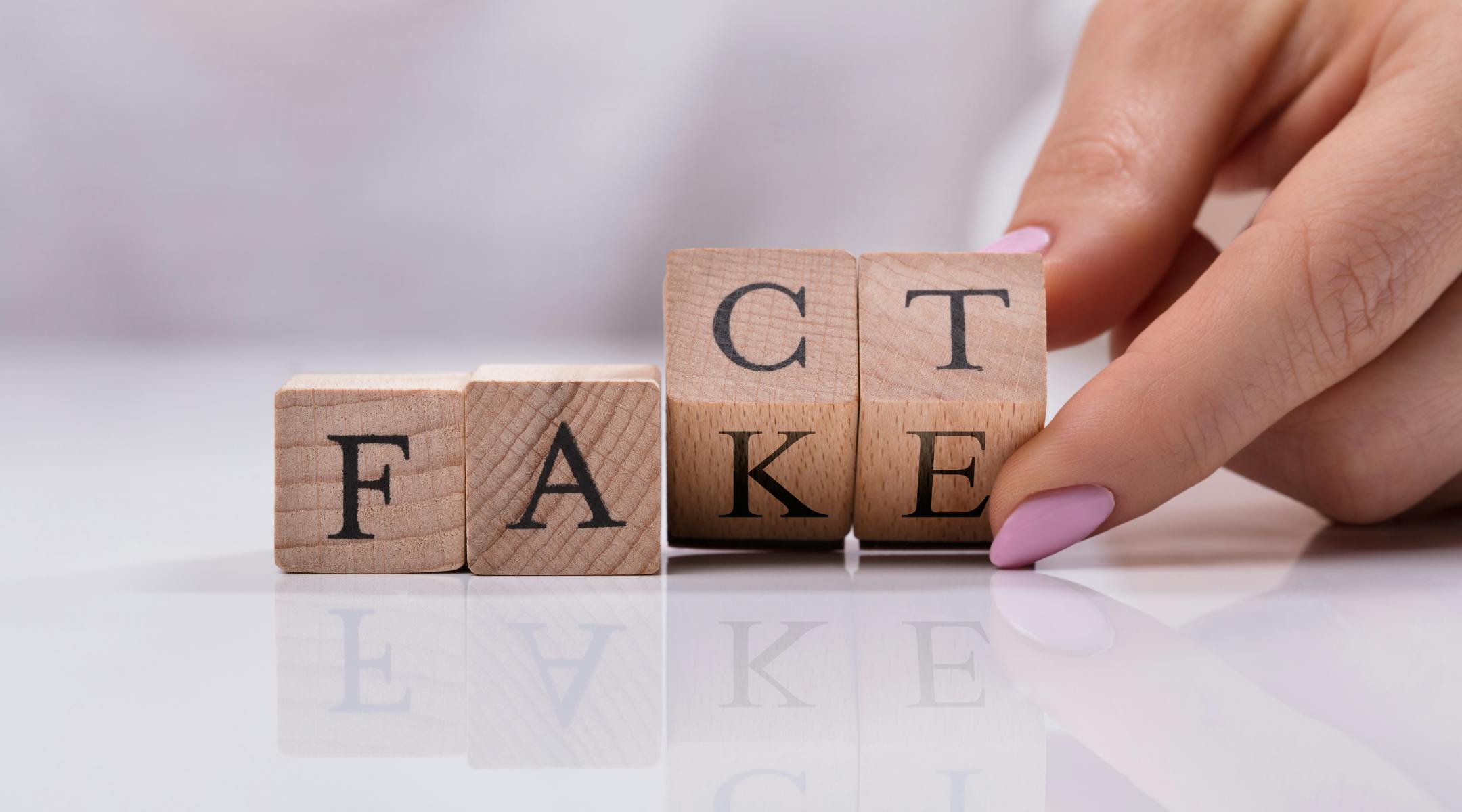 Wohnungssuche | Flatfox