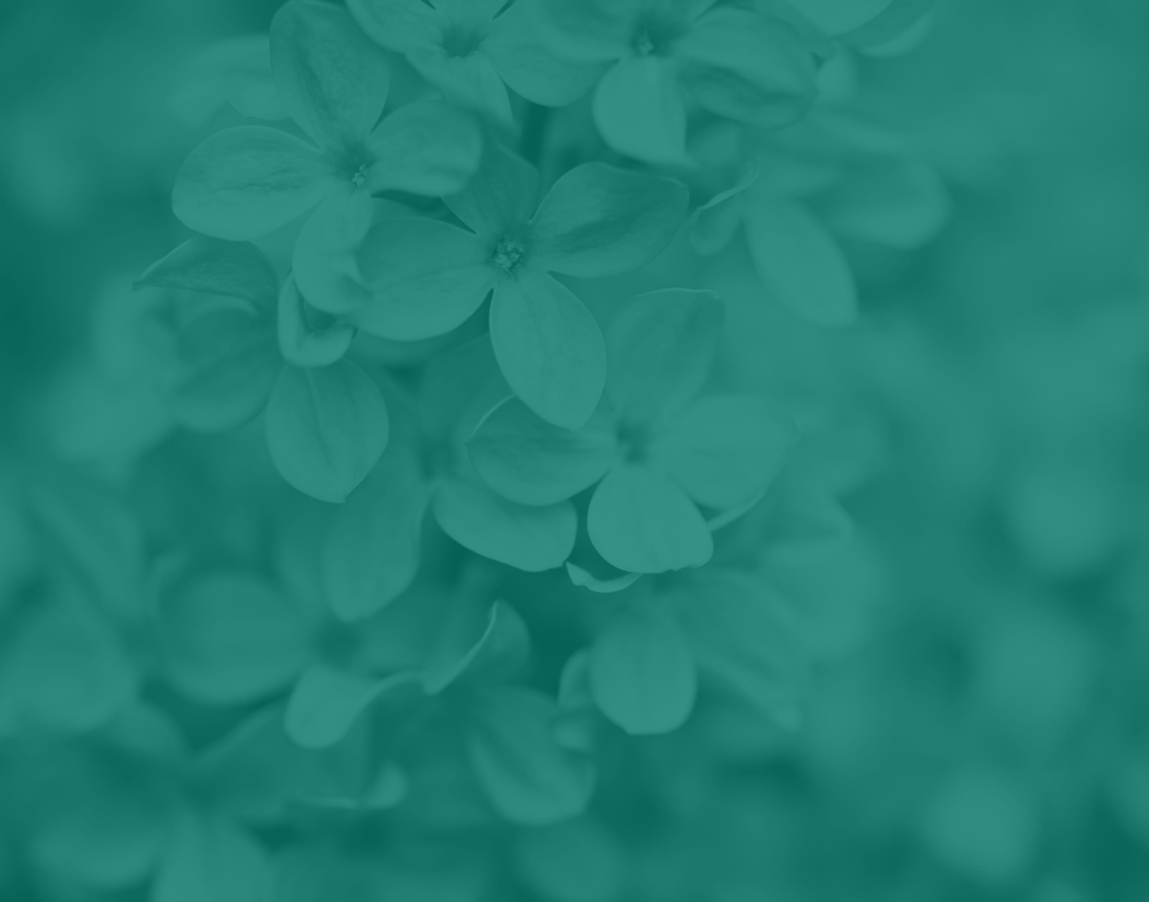 Procedure Pricing | Kyle Cox MD