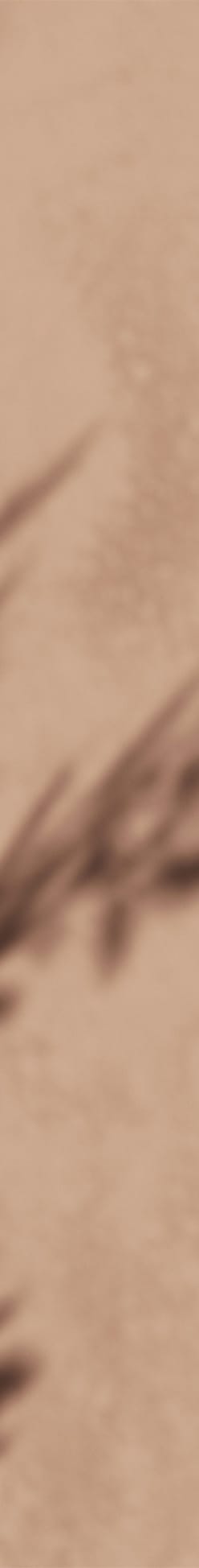 Dr. Kyle Cox | Kyle Cox MD Oculofacial Surgery & Aesthetics