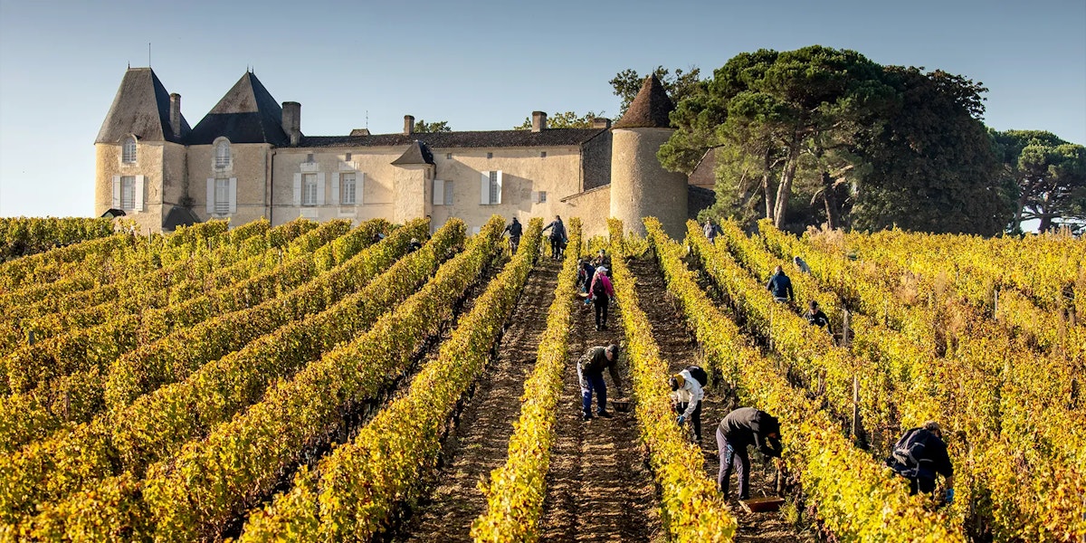 Tout comprendre des grands crus de Bordeaux | U'wine