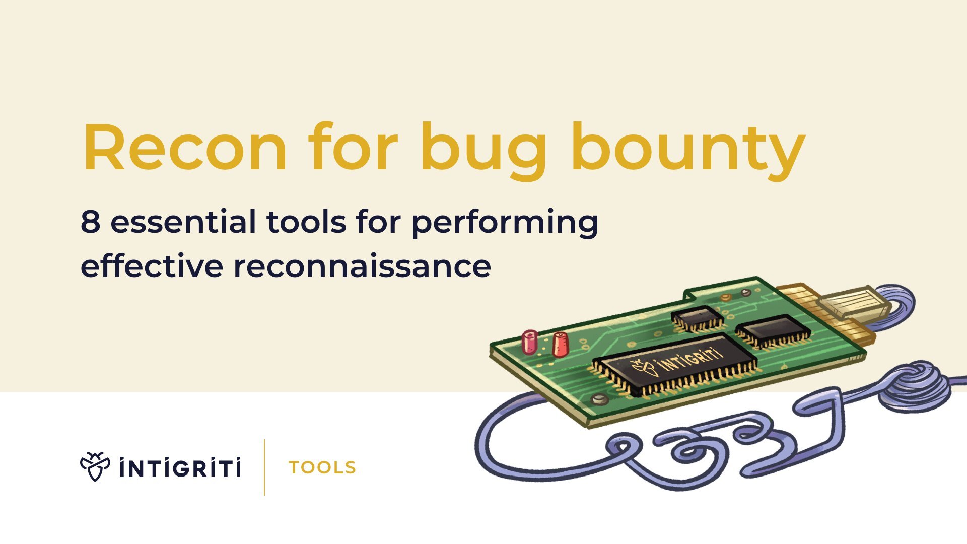 Bug Bounty Insights & Tips | Intigriti