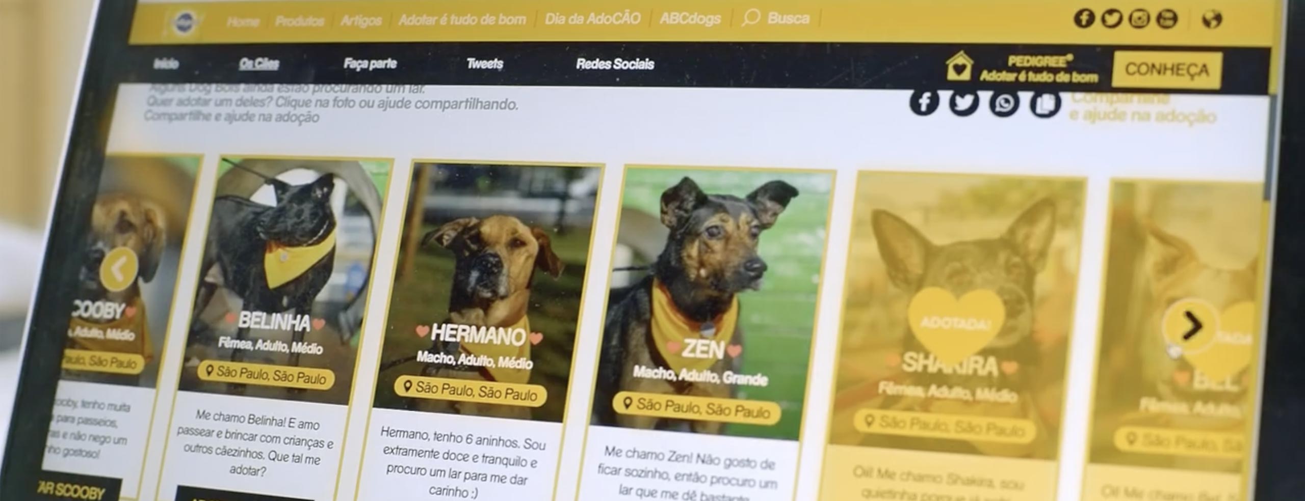 Dog Bots Pedigree - Webcore Interactive | Criamos experiências digitais