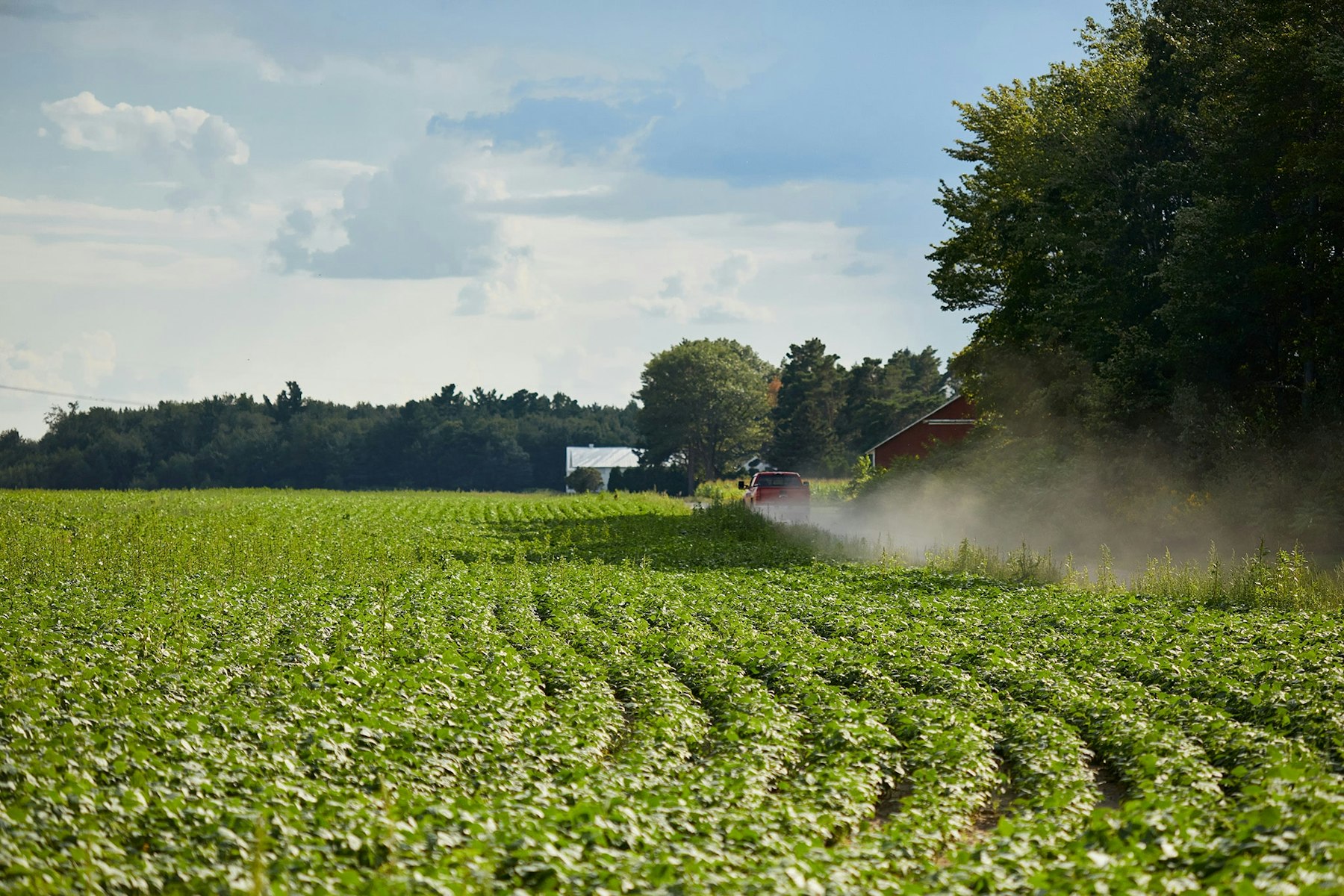 Leader in frozen and canned fruits and vegetables | Nortera