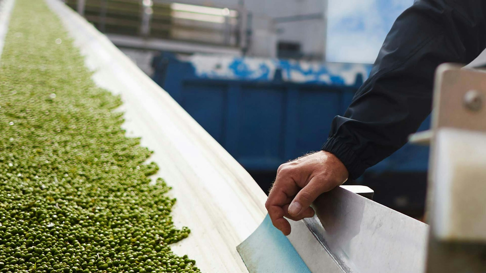 Leader in frozen and canned fruits and vegetables | Nortera