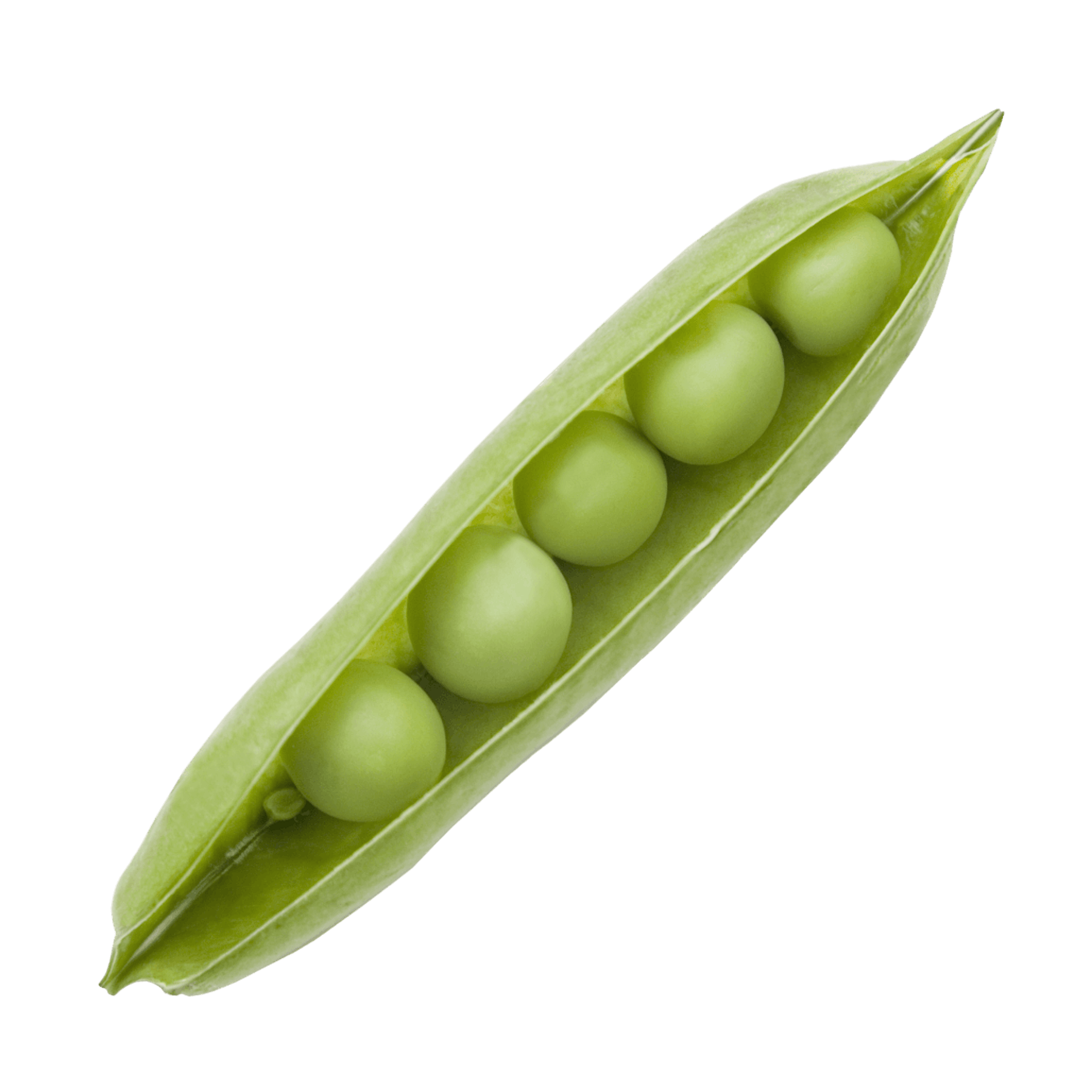 Vegetables prepared and packaged according to your needs