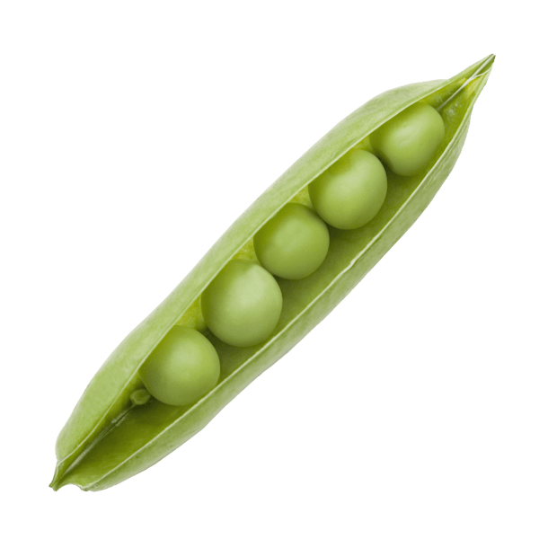 Vegetables prepared and packaged according to your needs