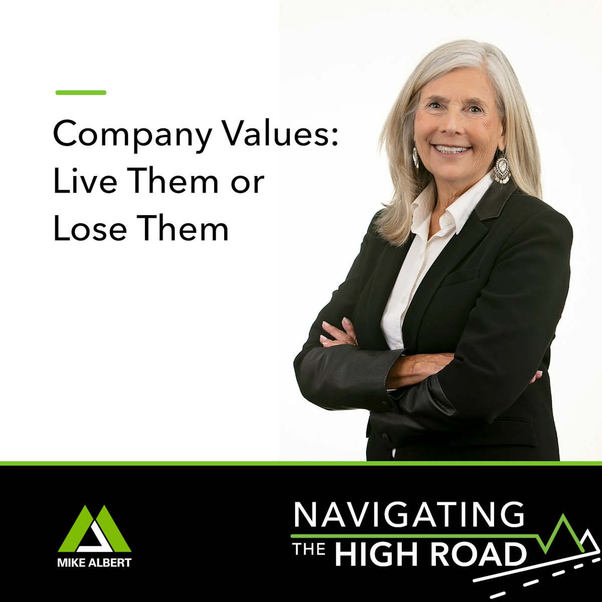Company Values | Navigating the High Road | Mike Albert