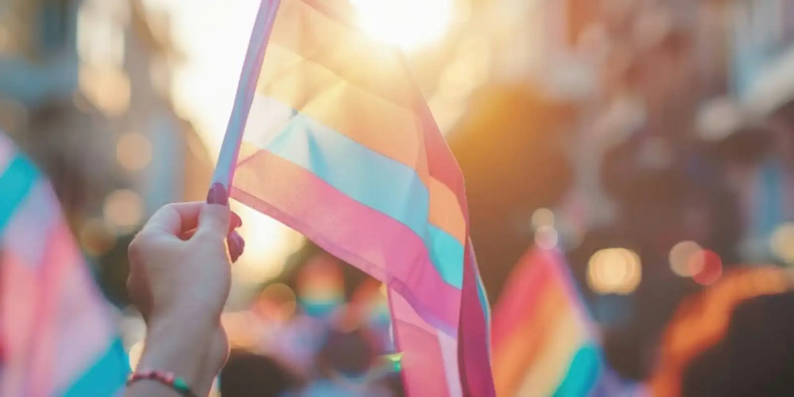What is Transgender Awareness Week