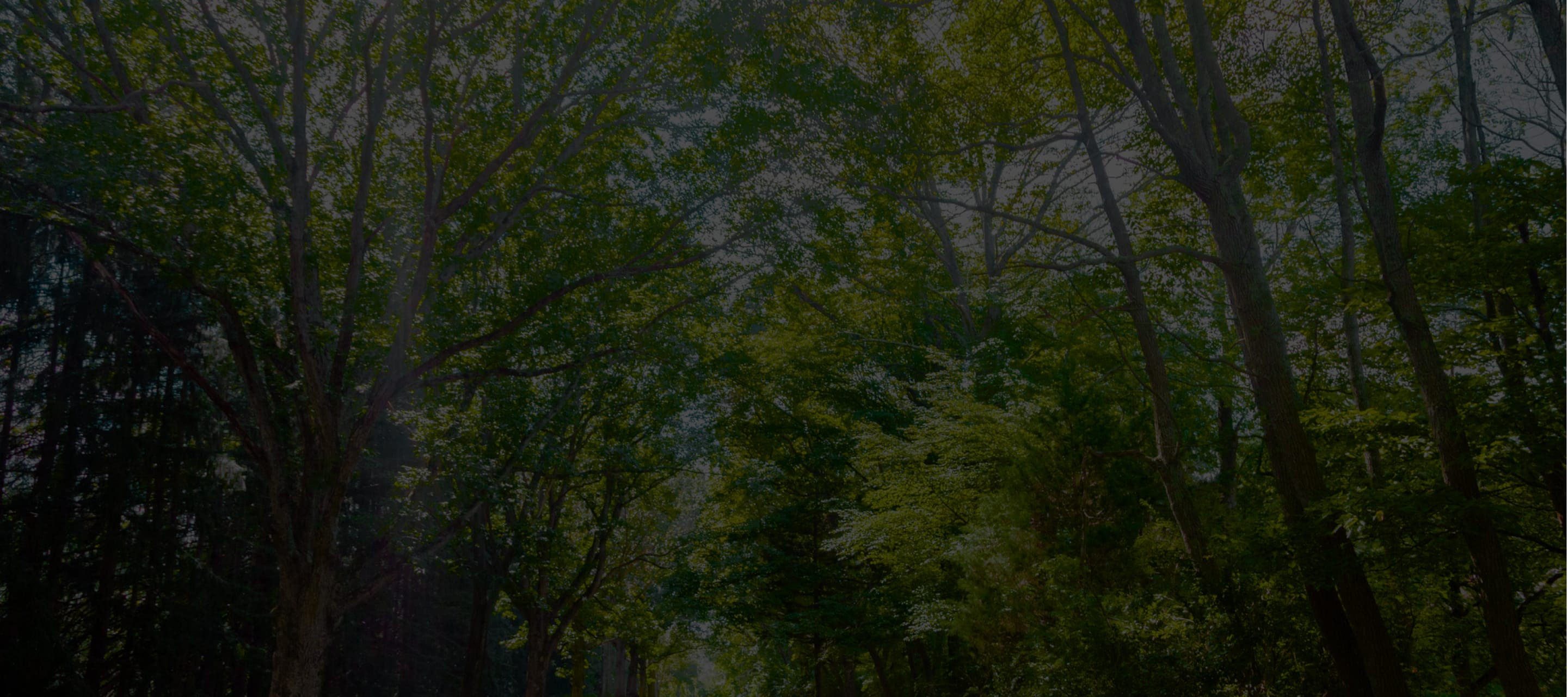 Atypical Moles Dysplastic Nevi - Certified Dermatology