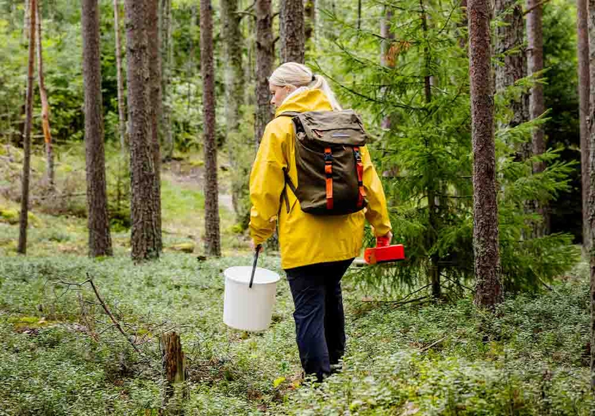 Bär- & svampplockning - Utrustning för plock i skogen