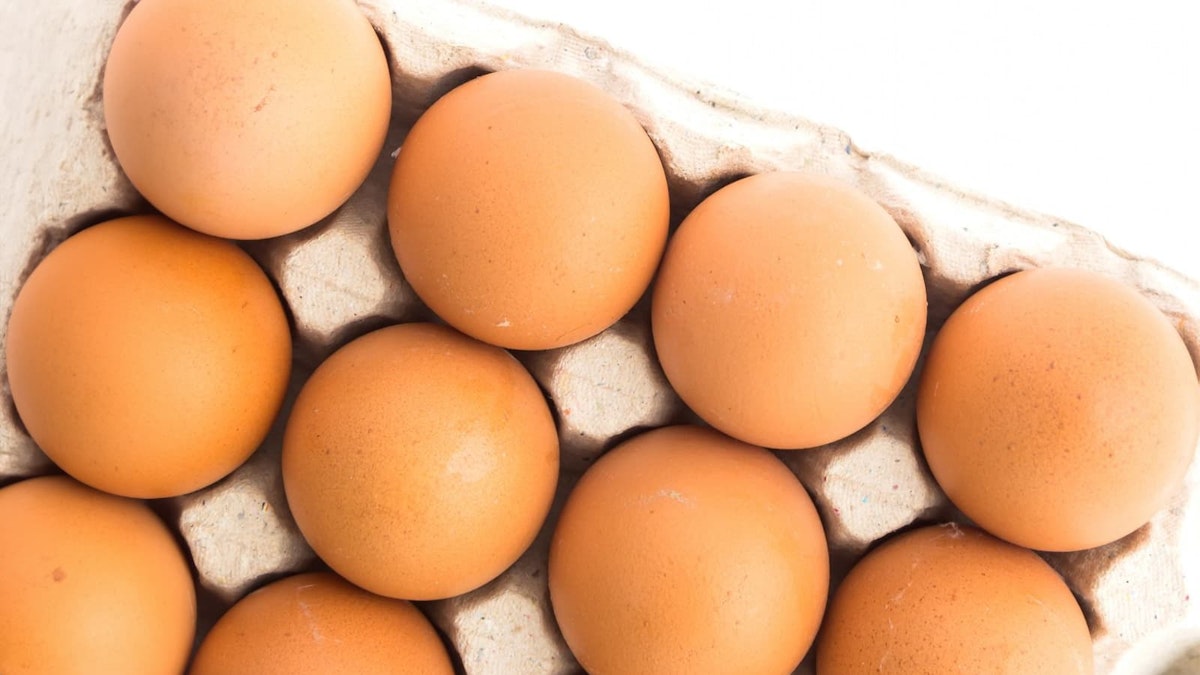 Wieviel Protein hat ein Ei? Alles, was du wissen musst! 🍳