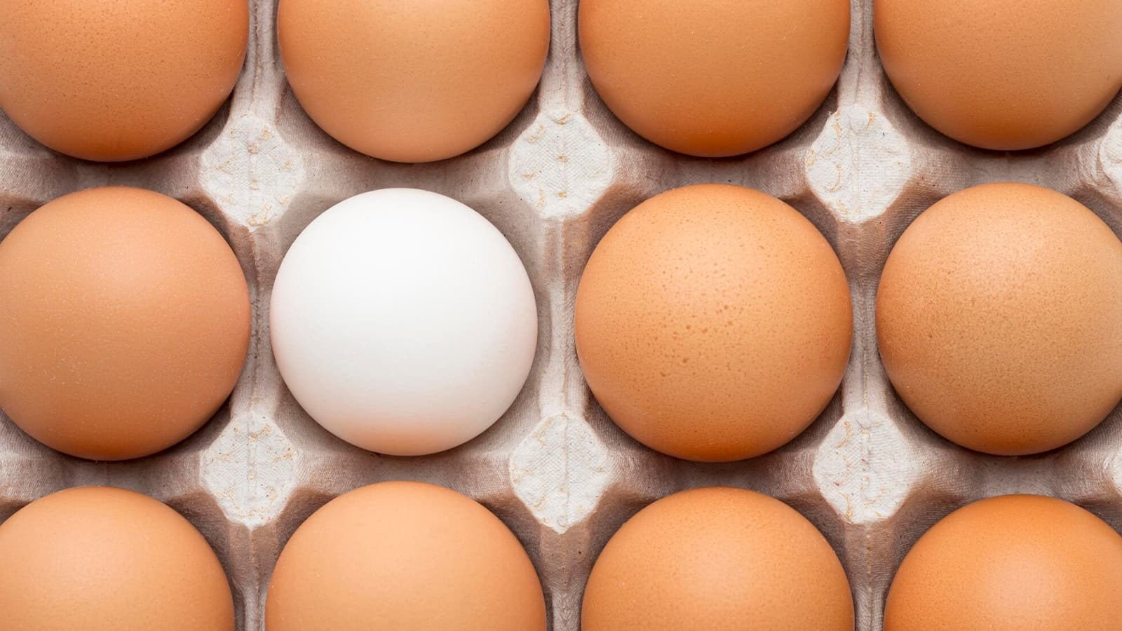 Wieviel Protein hat ein Ei? Alles, was du wissen musst! 🍳