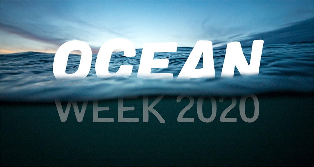 Ocean Week 2020 | European Greens