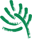 Campaigns and working groups | European Greens