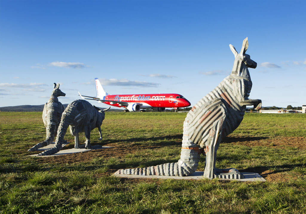 Canberra Airport | ‘Flying’ Kangaroos at Canberra Airport