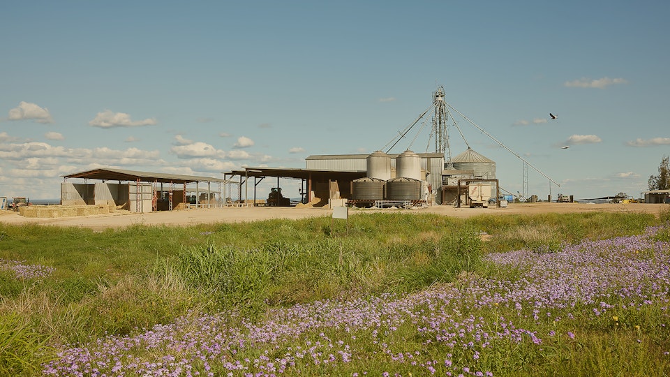 APPROVAL FOR NEW MORT & CO FEEDLOT IN BEEF CAPITAL | Mort & Co