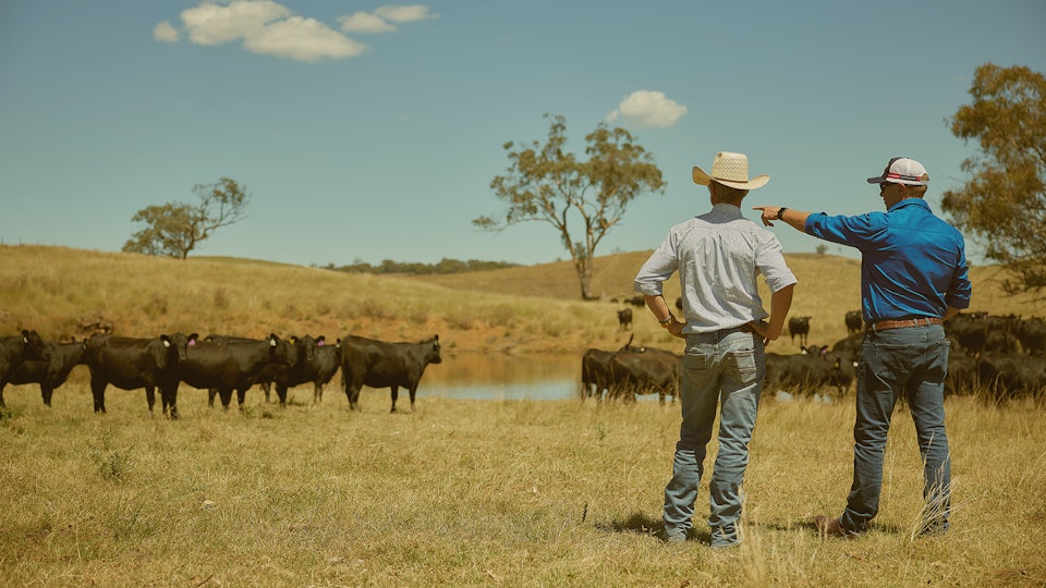 Graduate Program | Mort & Co