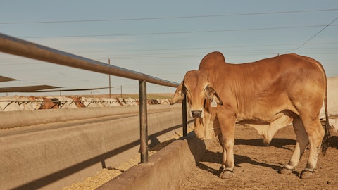 Yarranbrook Feedlot | Mort & Co