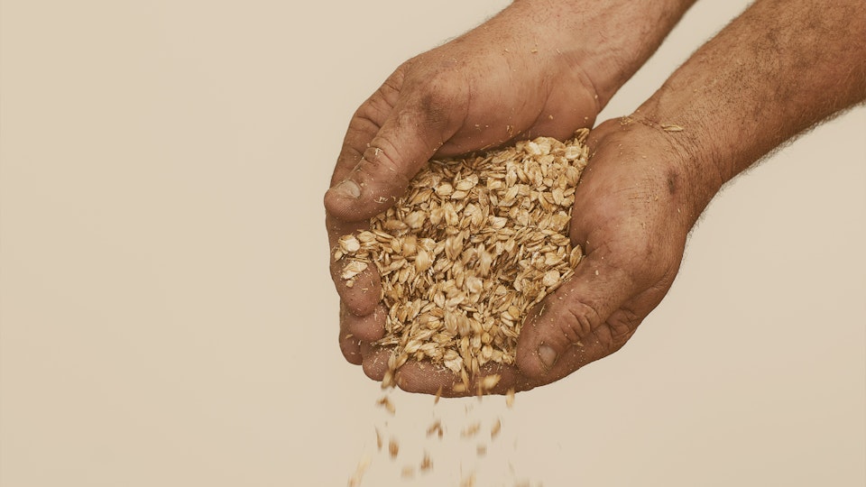 Yarranbrook Feedlot | Mort & Co