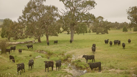 Backgrounding | Mort & Co