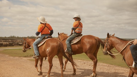 Animal Welfare | Mort & Co