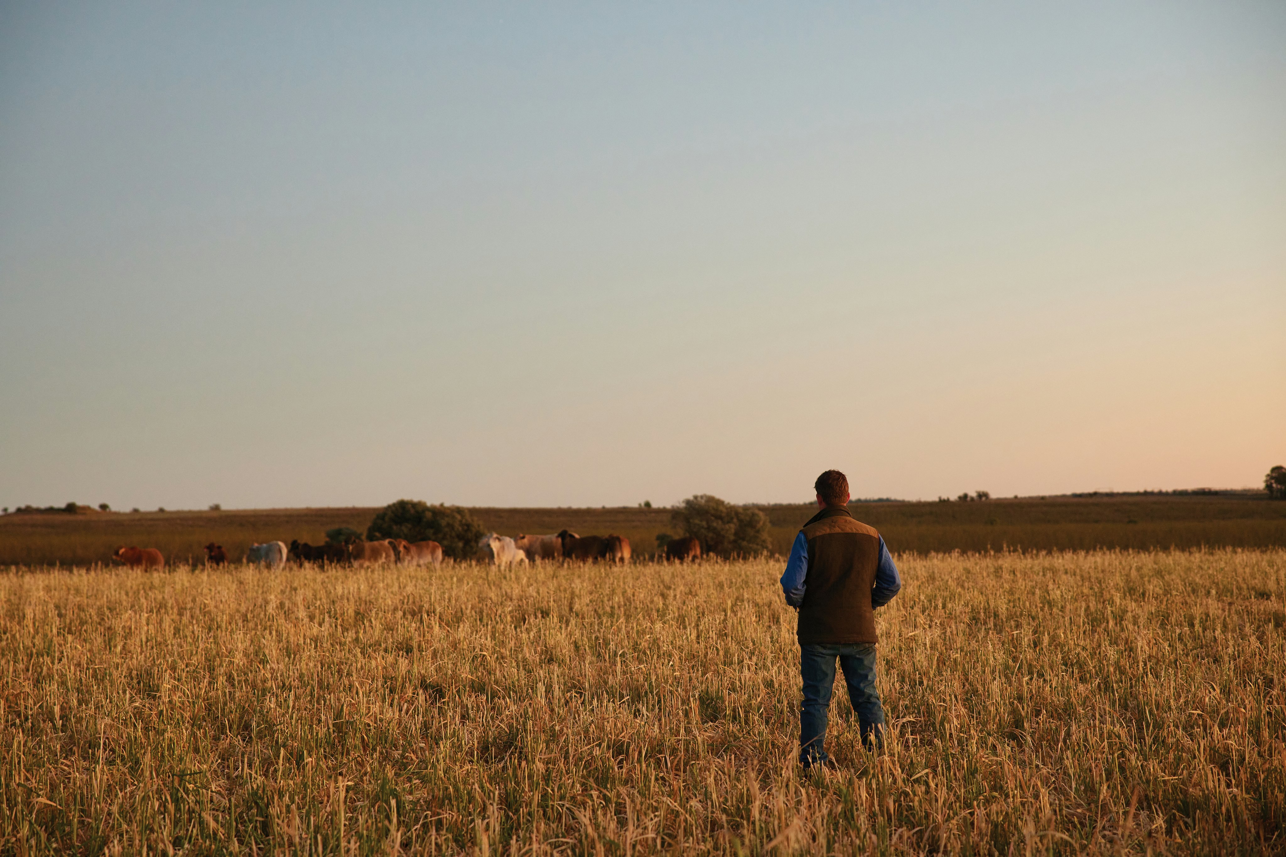 Masters of Beef | Mort & Co