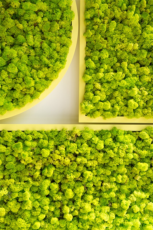 BuzziMood, biophilic acoustic panel | BuzziSpace