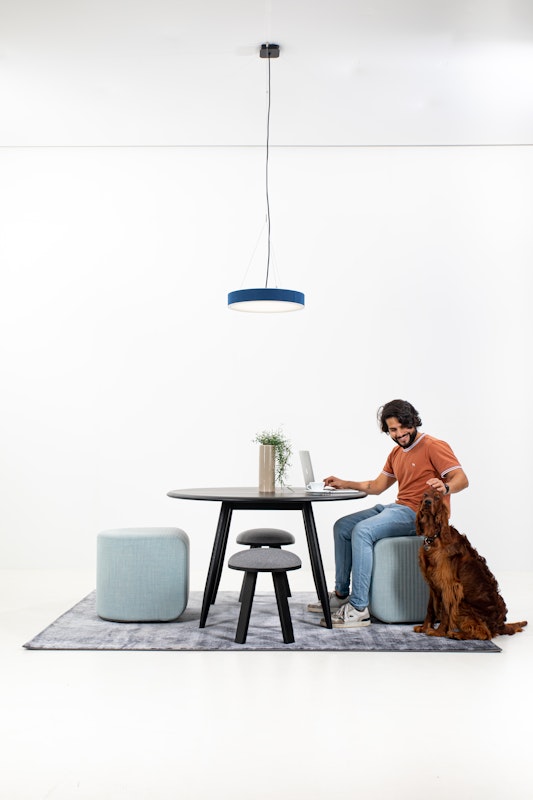 BuzziDisk, An upholstered round LED panel | BuzziSpace