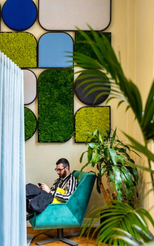 BuzziMood, biophilic acoustic panel | BuzziSpace
