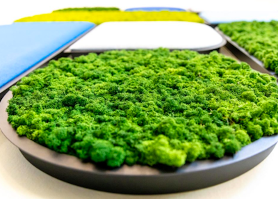 BuzziMood, biophilic acoustic panel | BuzziSpace