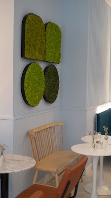 BuzziMood, biophilic acoustic panel | BuzziSpace