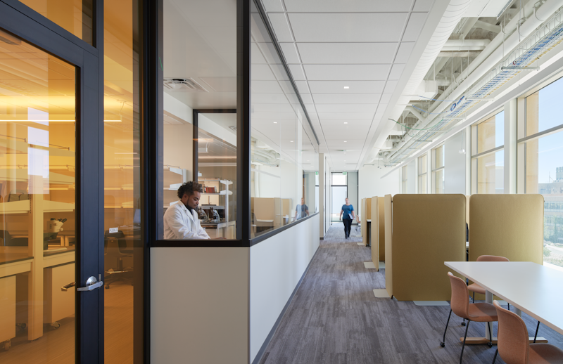 BuzziFree, free standing noise-reducing screen | BuzziSpace