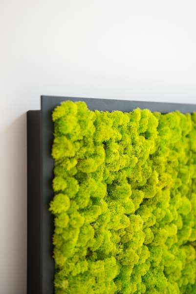 BuzziMood, biophilic acoustic panel | BuzziSpace