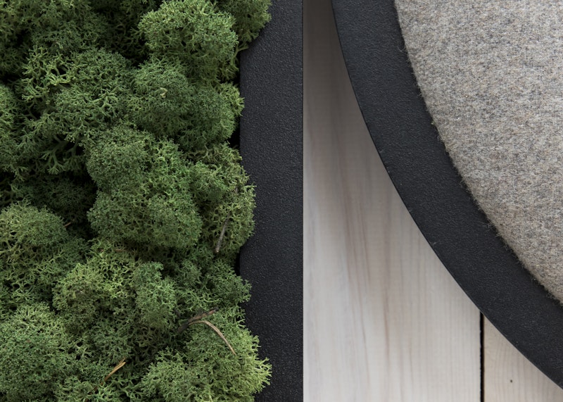 BuzziMood, biophilic acoustic panel | BuzziSpace