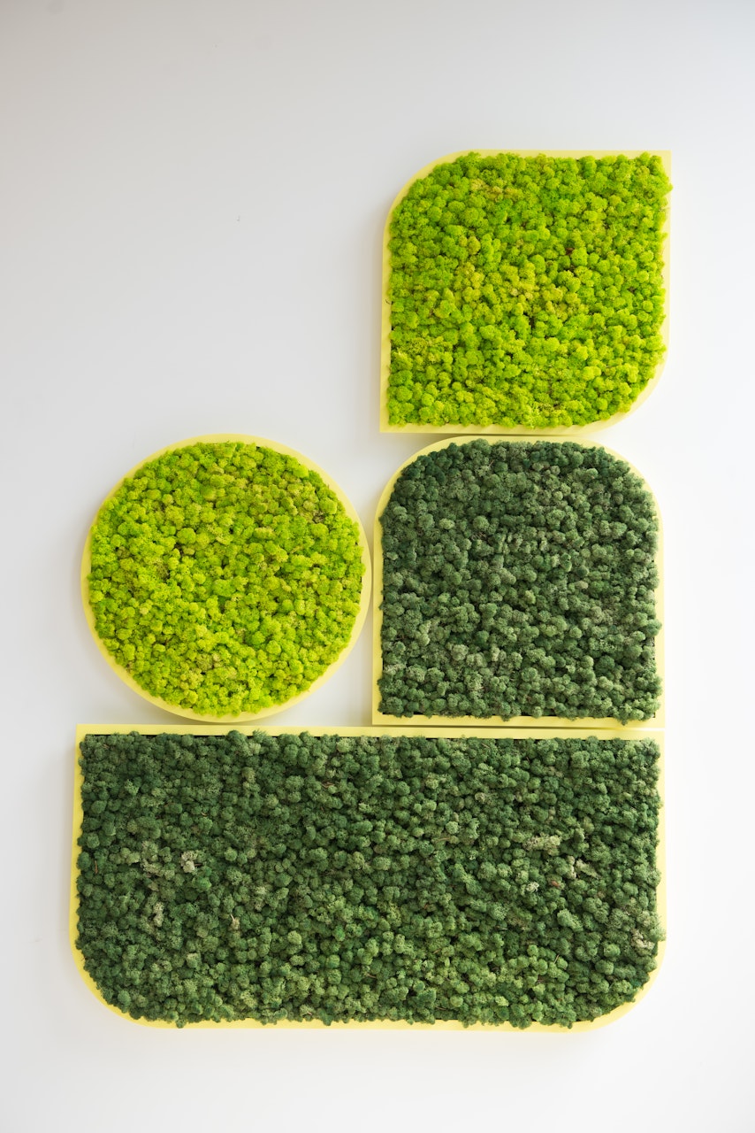 BuzziMood, biophilic acoustic panel | BuzziSpace