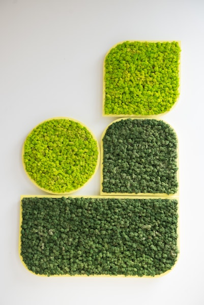 BuzziMood, biophilic acoustic panel | BuzziSpace