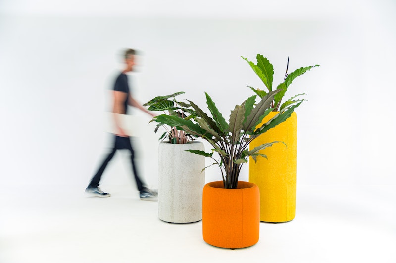 BuzziPlanter, green office divider | BuzziSpace