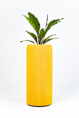 BuzziPlanter, green office divider | BuzziSpace