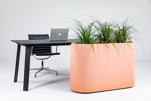 BuzziPlanter, green office divider | BuzziSpace