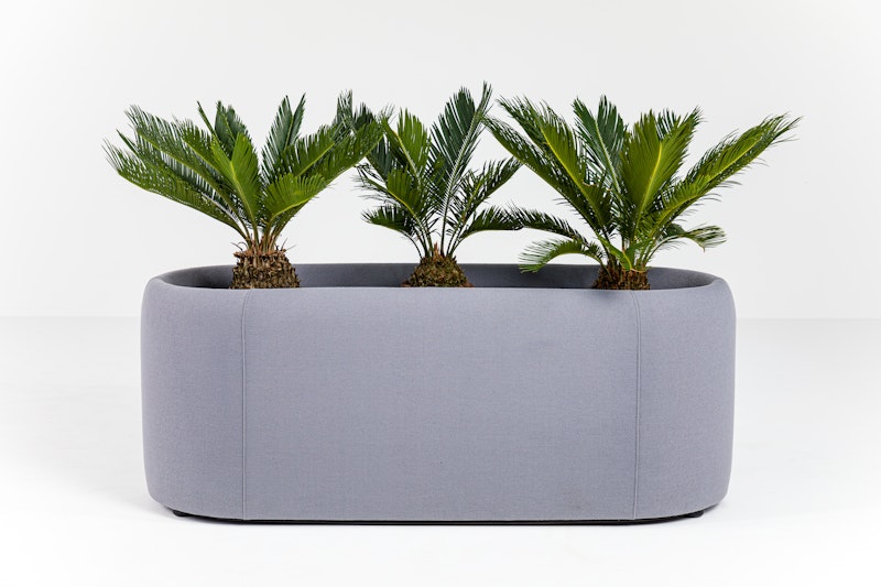 BuzziPlanter, green office divider | BuzziSpace