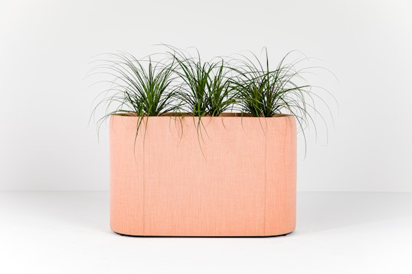 BuzziPlanter, green office divider | BuzziSpace