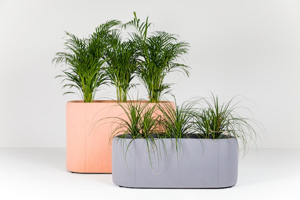BuzziPlanter, green office divider | BuzziSpace