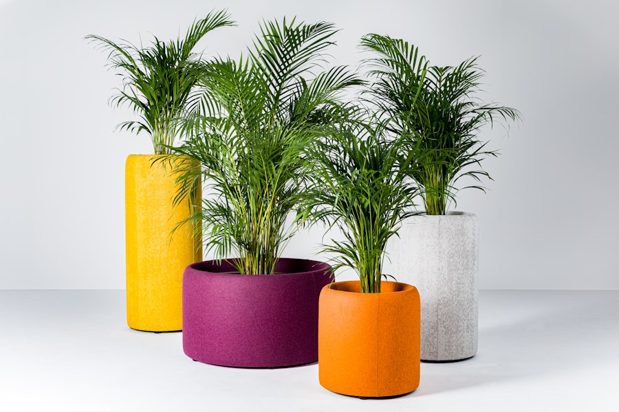 NeoCon 2020 | BuzziSpace