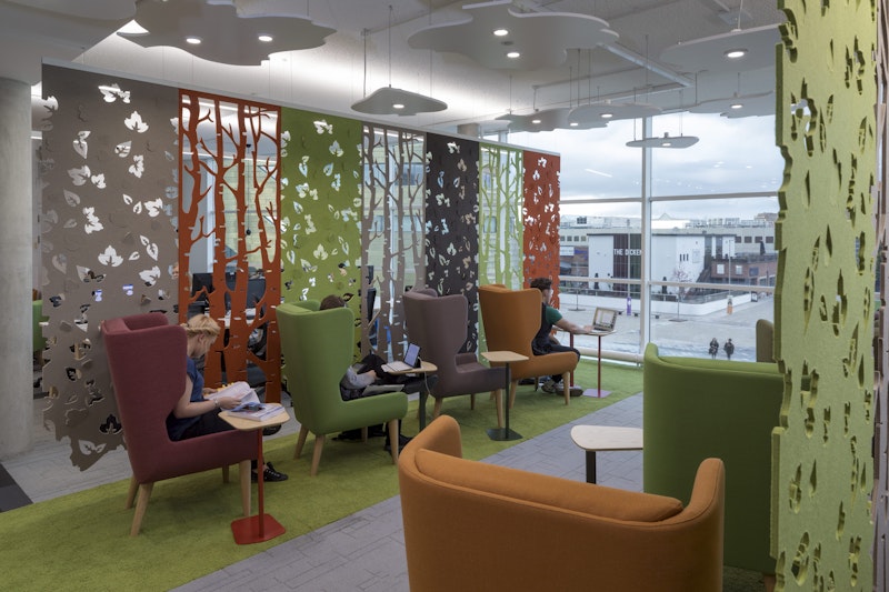The Power of Color: Transforming Your Spaces with BuzziSpace| BuzziSpace