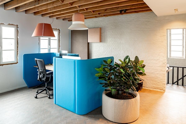 Color Revelations: Color Revelations: Embracing Pantone’s Color of the ...