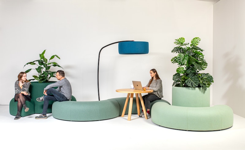 BuzziCee, Centre of attention | BuzziSpace