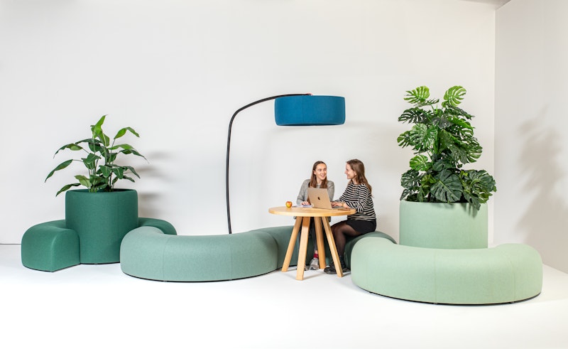 BuzziCee, Centre of attention | BuzziSpace