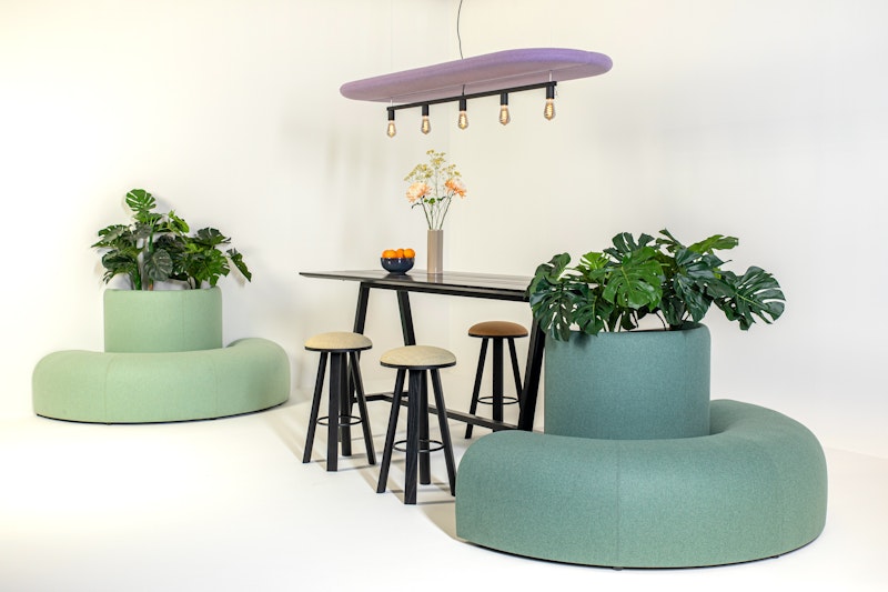 BuzziCee, Centre of attention | BuzziSpace