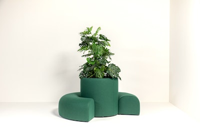 BuzziPlanter, green office divider | BuzziSpace